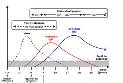 Test PCR, Sérologique ou Antigénique : quésako